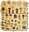 CAD Plants | AutoCAD Plant Blocks | CAD Tree Symbols | CAD Plant Stand