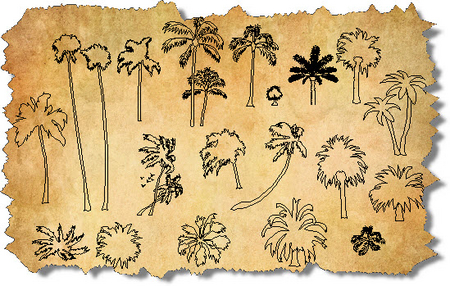 CAD Palm Tree Blocks | AutoCAD Tree Blocks | Palm Tree CAD Symbols