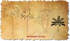 CAD Palm Tree Blocks | AutoCAD Tree Blocks | Palm Tree CAD Symbols
