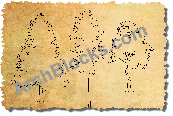 CAD Tree Symbols in Elevation | AutoCAD Tree Block Library