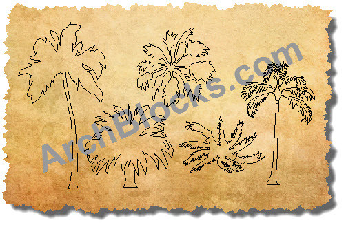 CAD Palm Tree Blocks | AutoCAD Tree Blocks | Palm Tree CAD Symbols