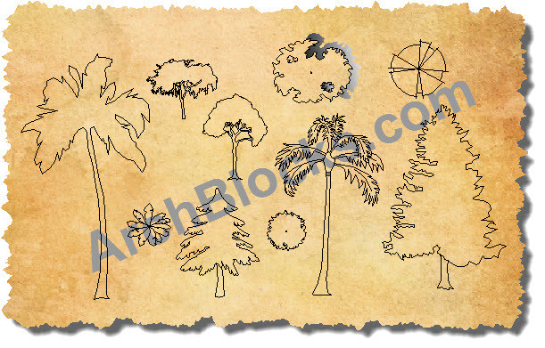 AutoCAD Tree Symbols | CAD Tree Blocks | CAD Trees Plan View